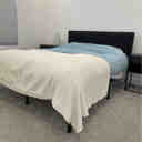 Wade Logan® Bethina Platform Bed & Reviews | Wayfair