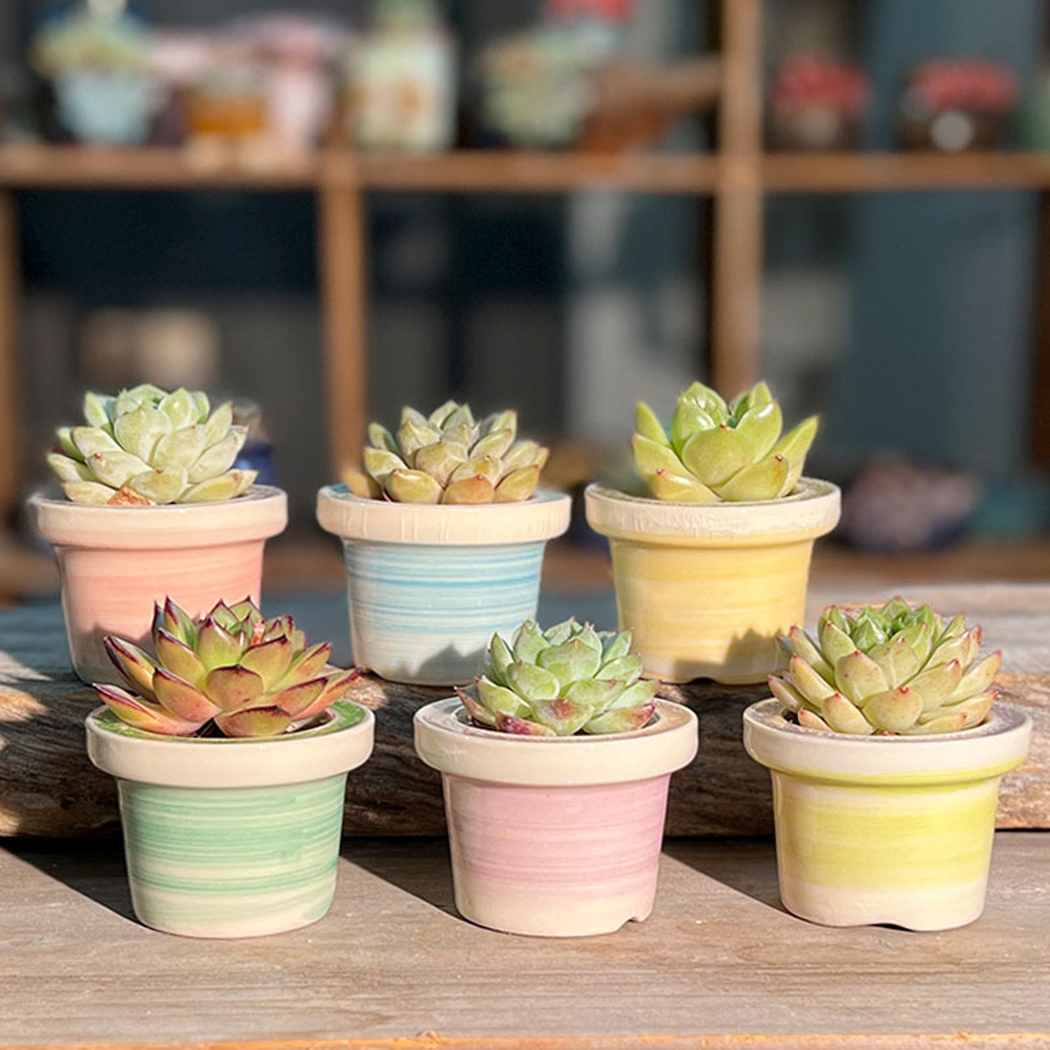 Winston Porter Ezhno Ceramic Pot Planter | Wayfair