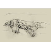 Charlton Home® " Dog Days III " by Ethan Harper on Canvas & Reviews ...