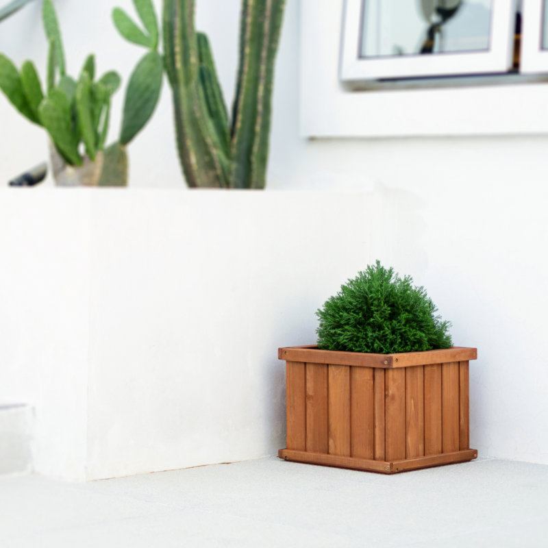 Winston Porter Alann 15 inch Cedar wood Square Planter Box & Reviews ...