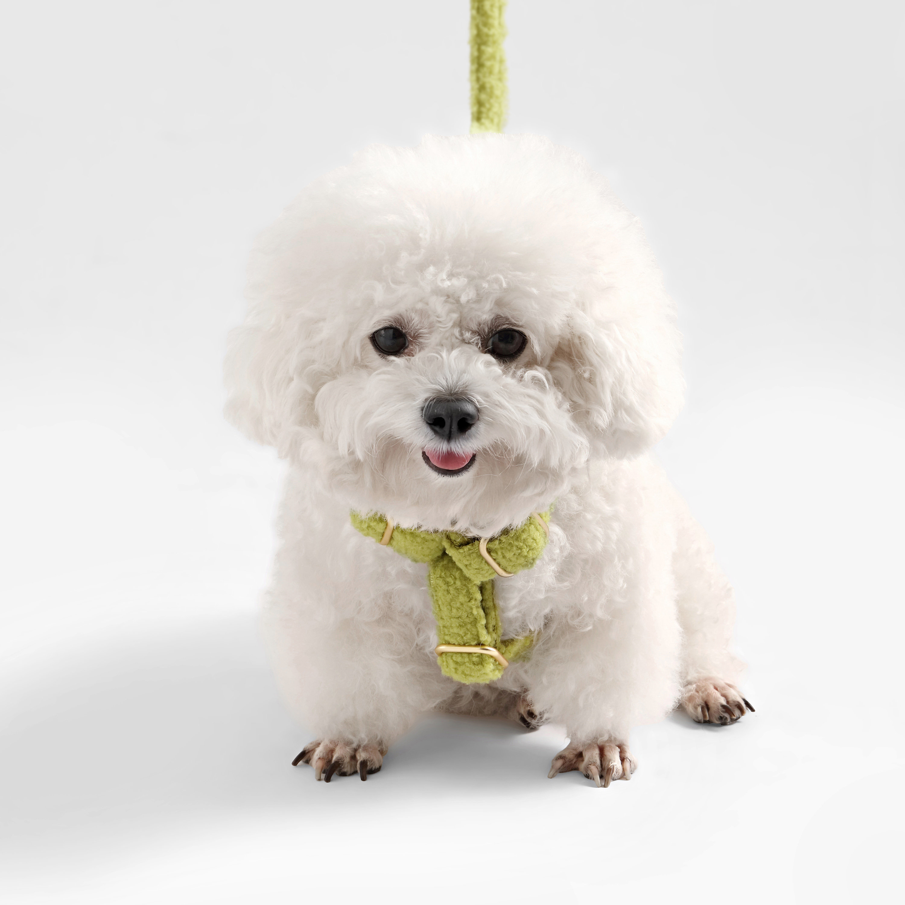 The Licker Store Teddy Bouclé Adjustable H Harness and Leash Walk Set ...
