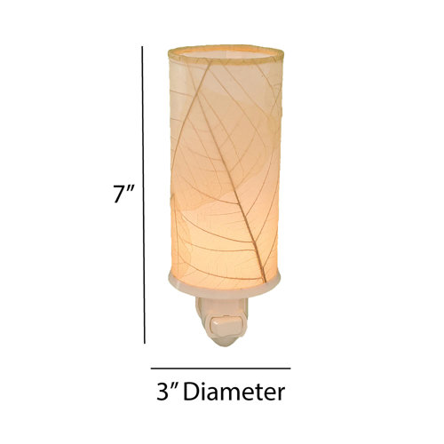 Eangee Home Design Cylinder Night Light & Reviews | Wayfair