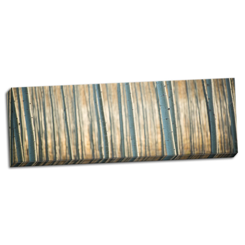 Millwood Pines 'Pacific Albus Pano I' Photographic Print on Wrapped ...