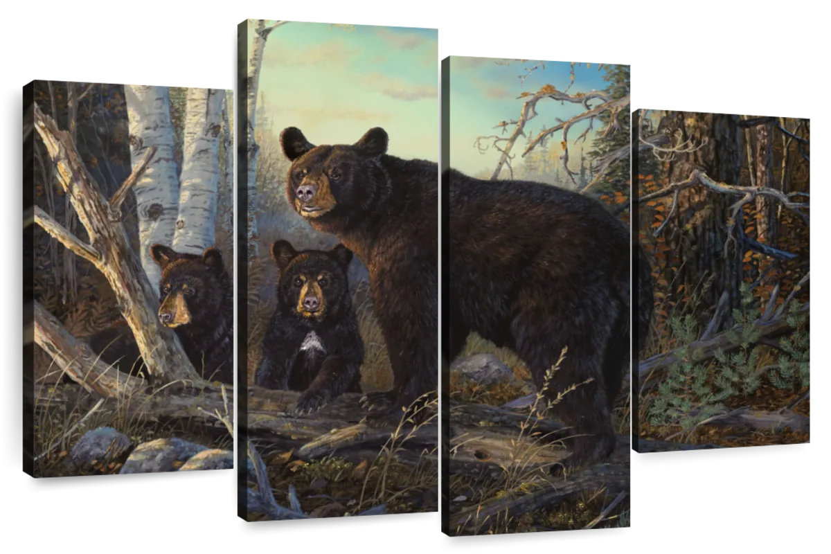 Ebern Designs Absolutely Wild - Black Bear - Wayfair Canada