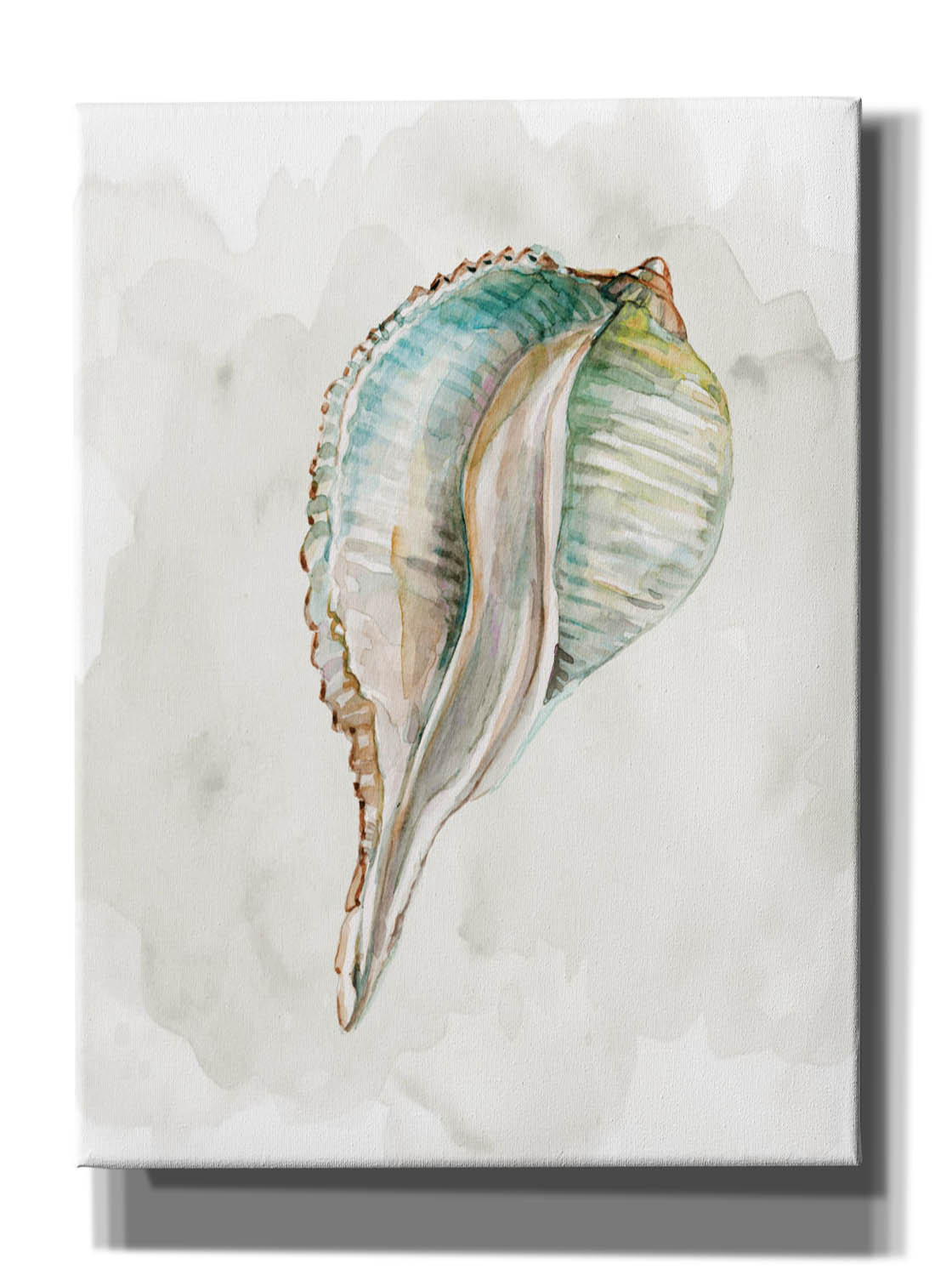 Dovecove " Pastel Shell I " by Carol Robinson | Wayfair