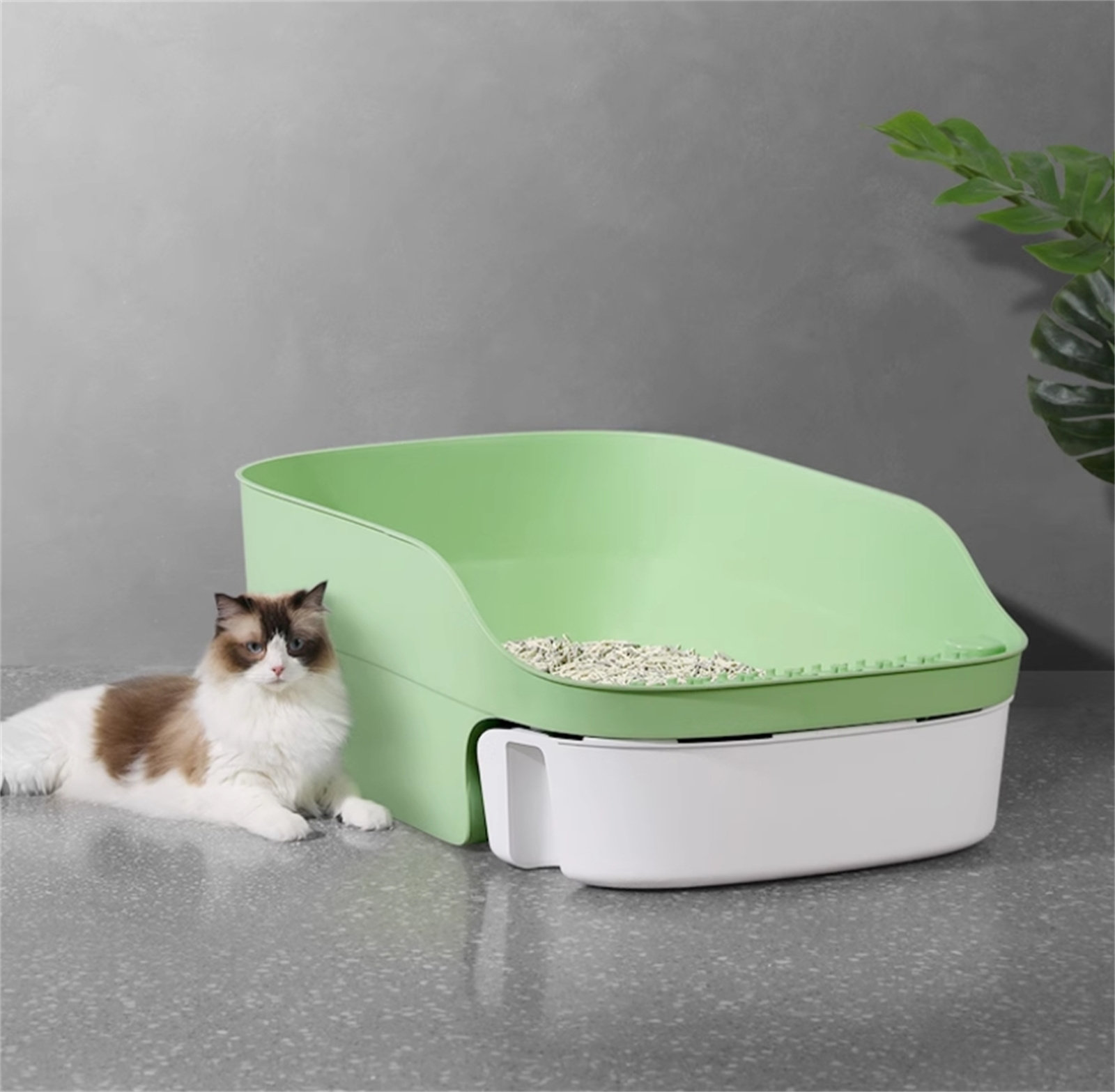 Archie & Oscar™ PP cat litter basin | Wayfair