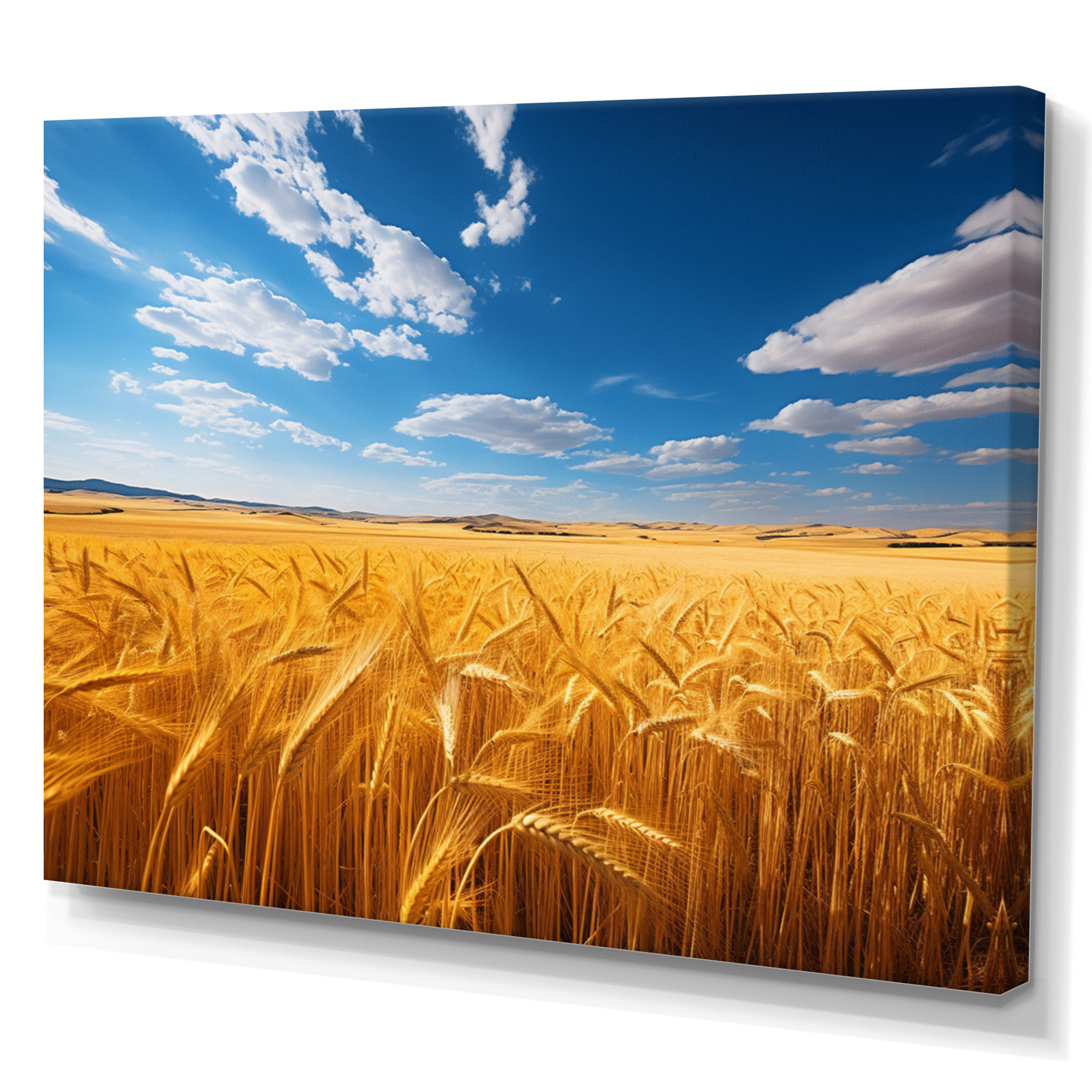Ebern Designs Australia Golden Plains Framed On Canvas Print | Wayfair