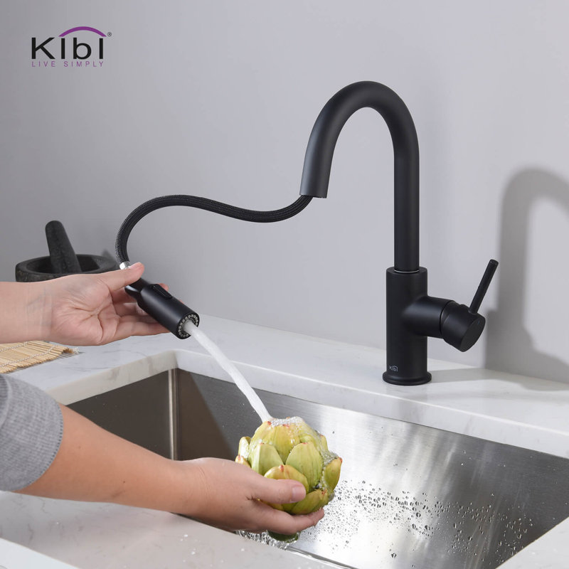 KIBI USA KIBI Luxe Pull Down Kitchen Faucet & Reviews | Wayfair