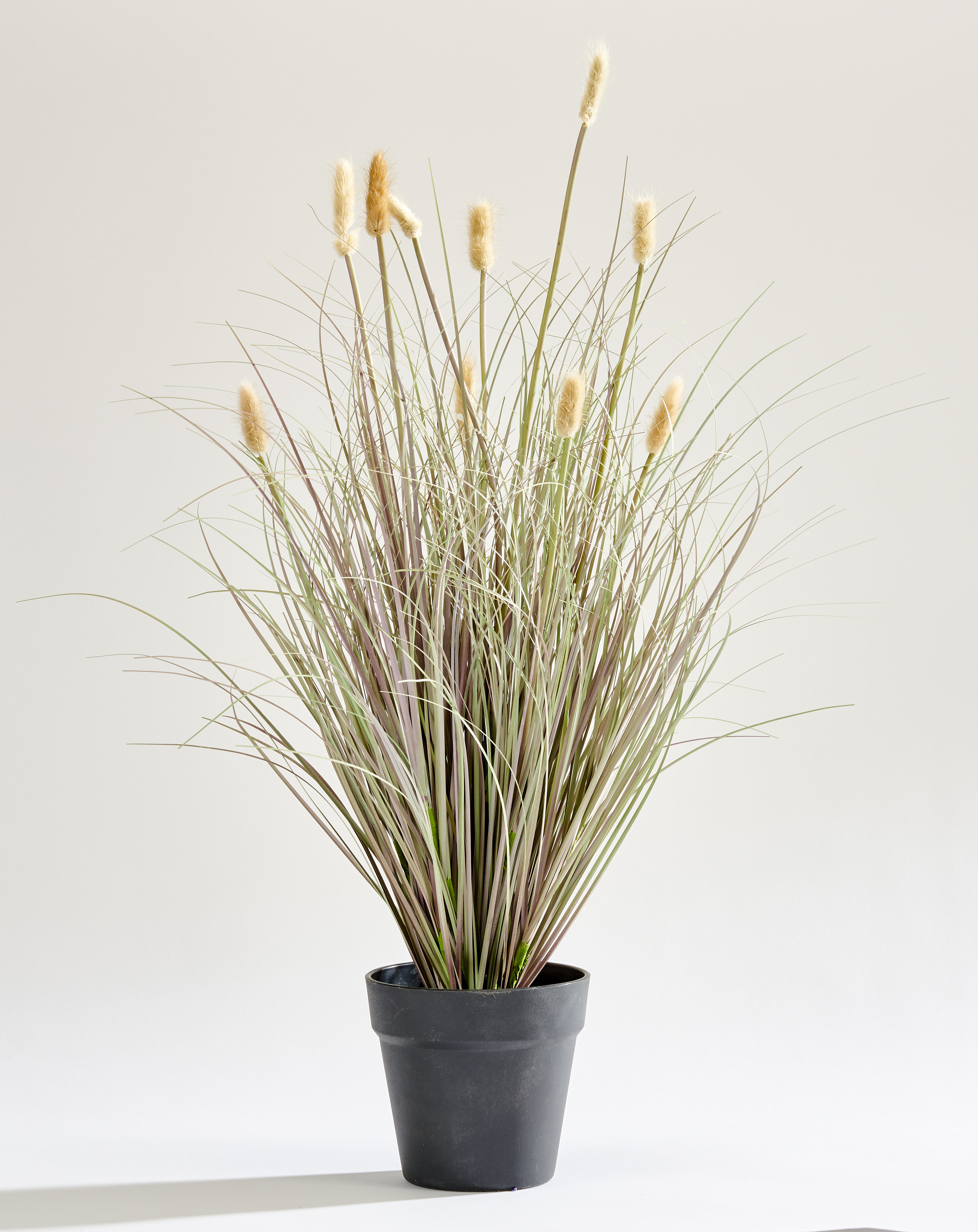 Primrue 28" Artificial Setaria Foxtail Grass In Black Pot - Wayfair Canada