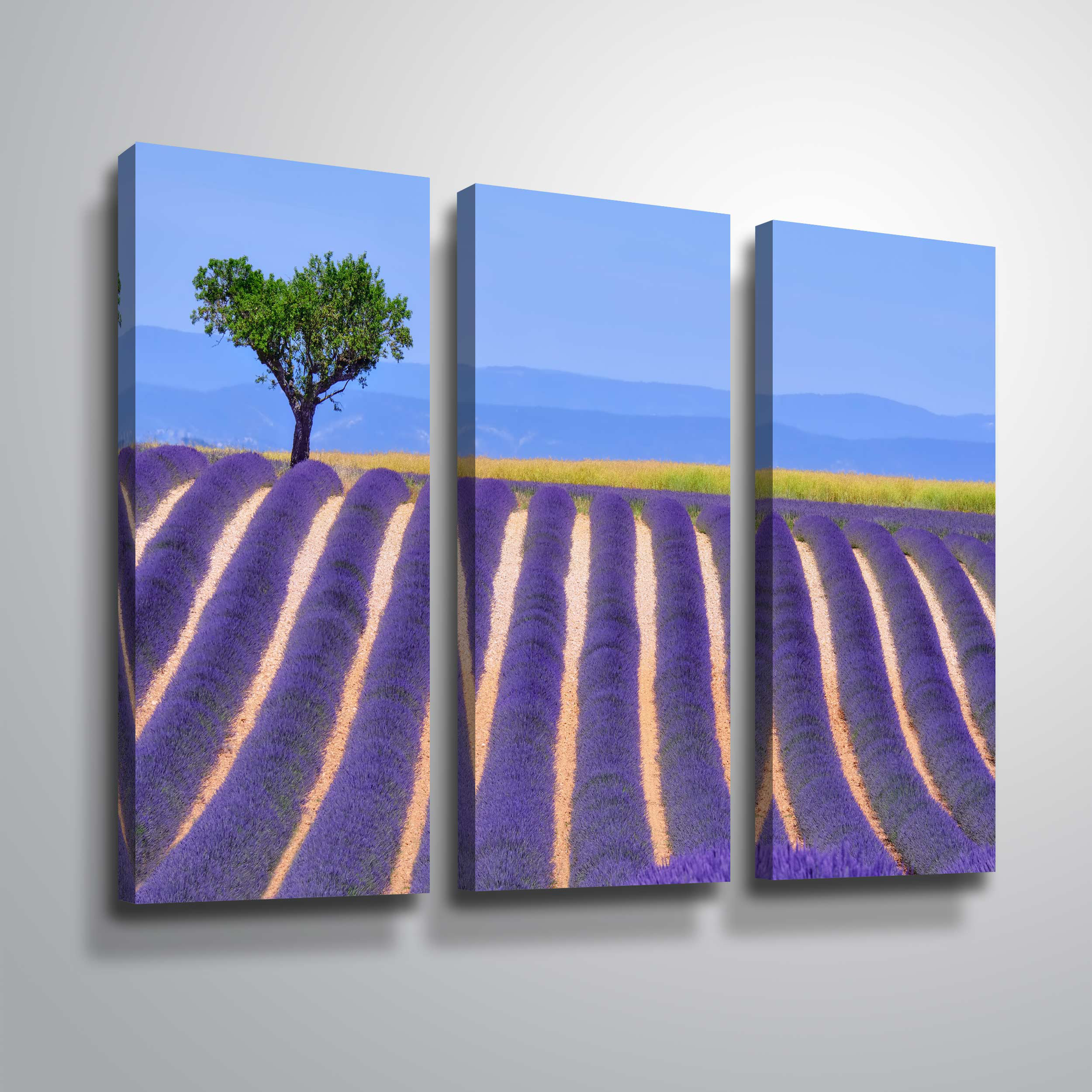 Fleur De Lis Living 'Lavender Fields VIII' Photographic Print Multi ...