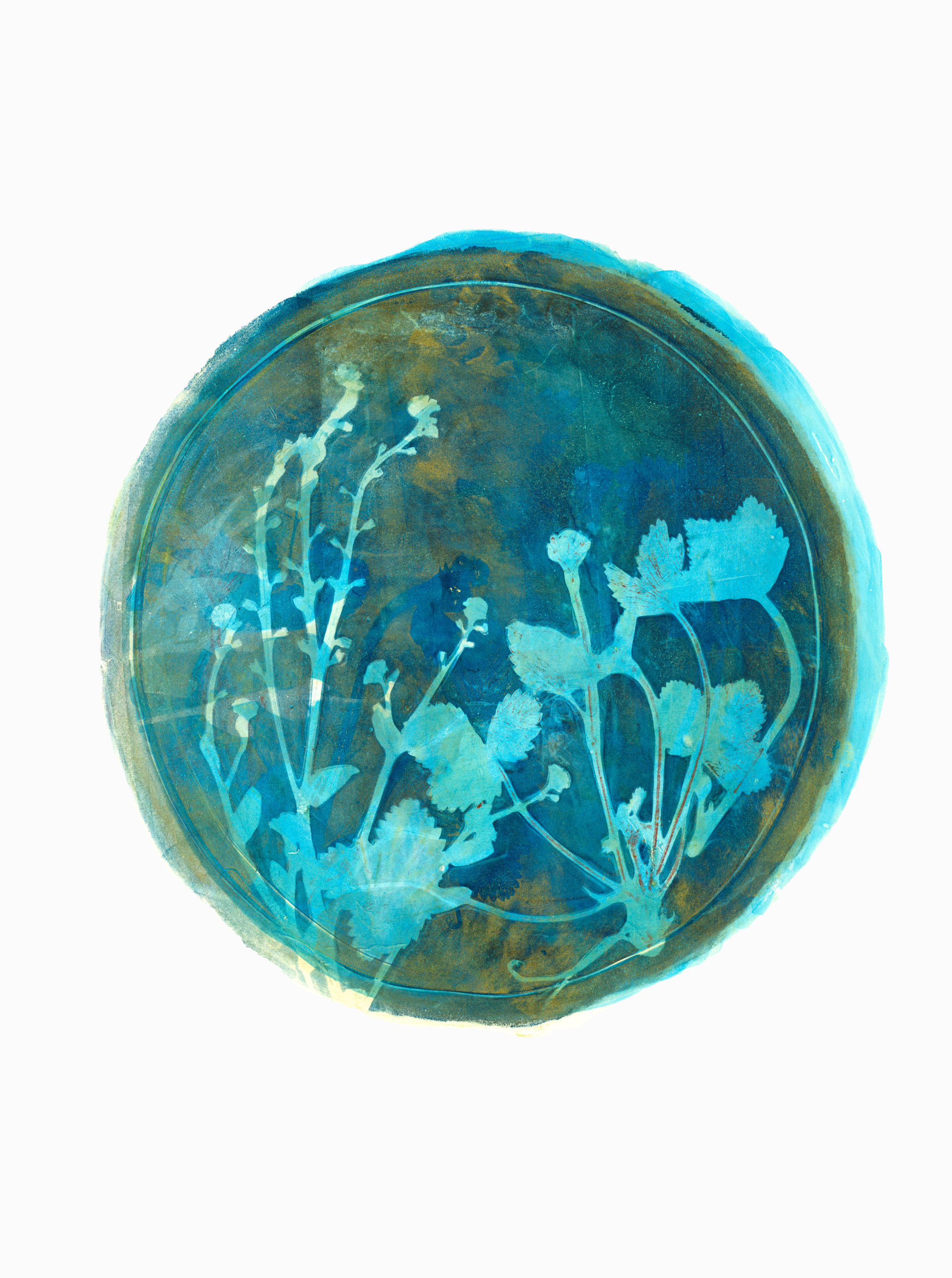 Winston Porter Bernessia Strawberries And Forg I V30 On Canvas by Liz ...