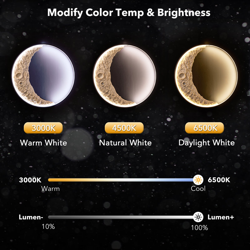 Orren Ellis Bayton Resin Dimmable LED Moon Flush Mount Wall Sconce Wall ...