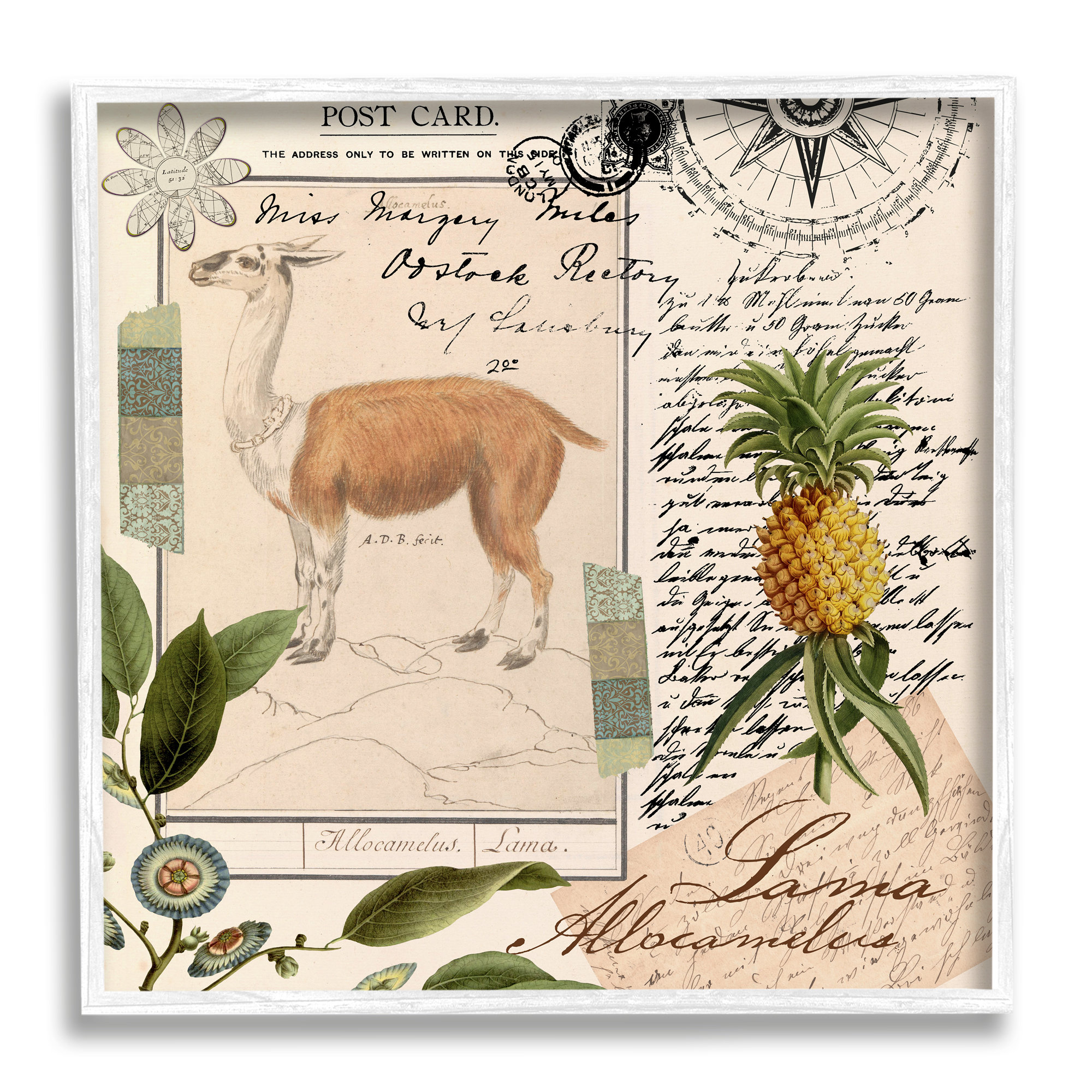 Stupell Industries Az-327-Framed Vintage Antelope Postcard Print | Wayfair