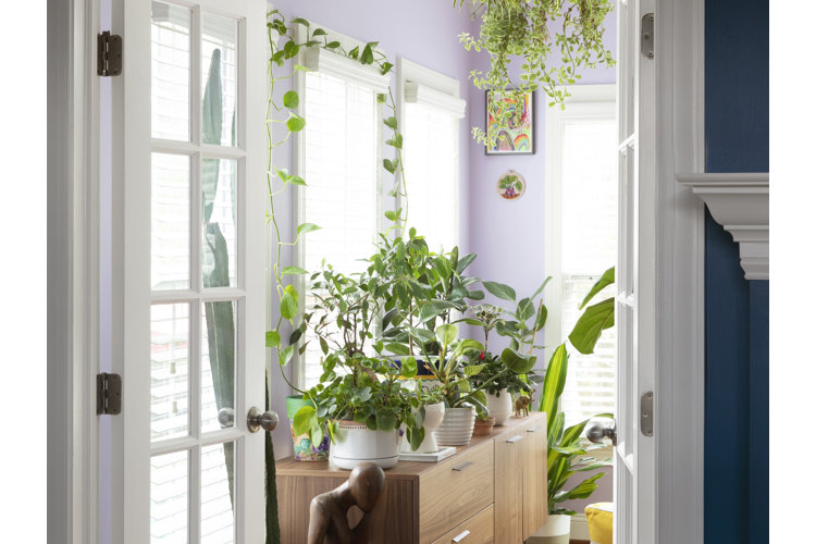 12 Easy Tips for Decorating With Fake Plants | Wayfair