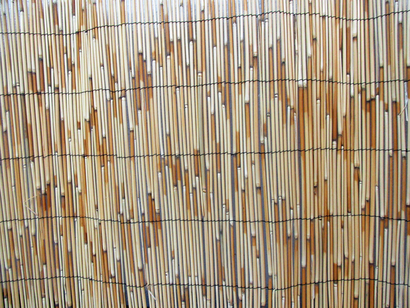 MGP Natural Reed Rolled Fence Panel & Reviews | Wayfair