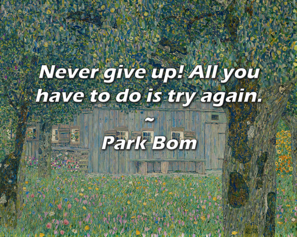Trinx Park Bom Quote: Never give up! All you have to do is try again ...