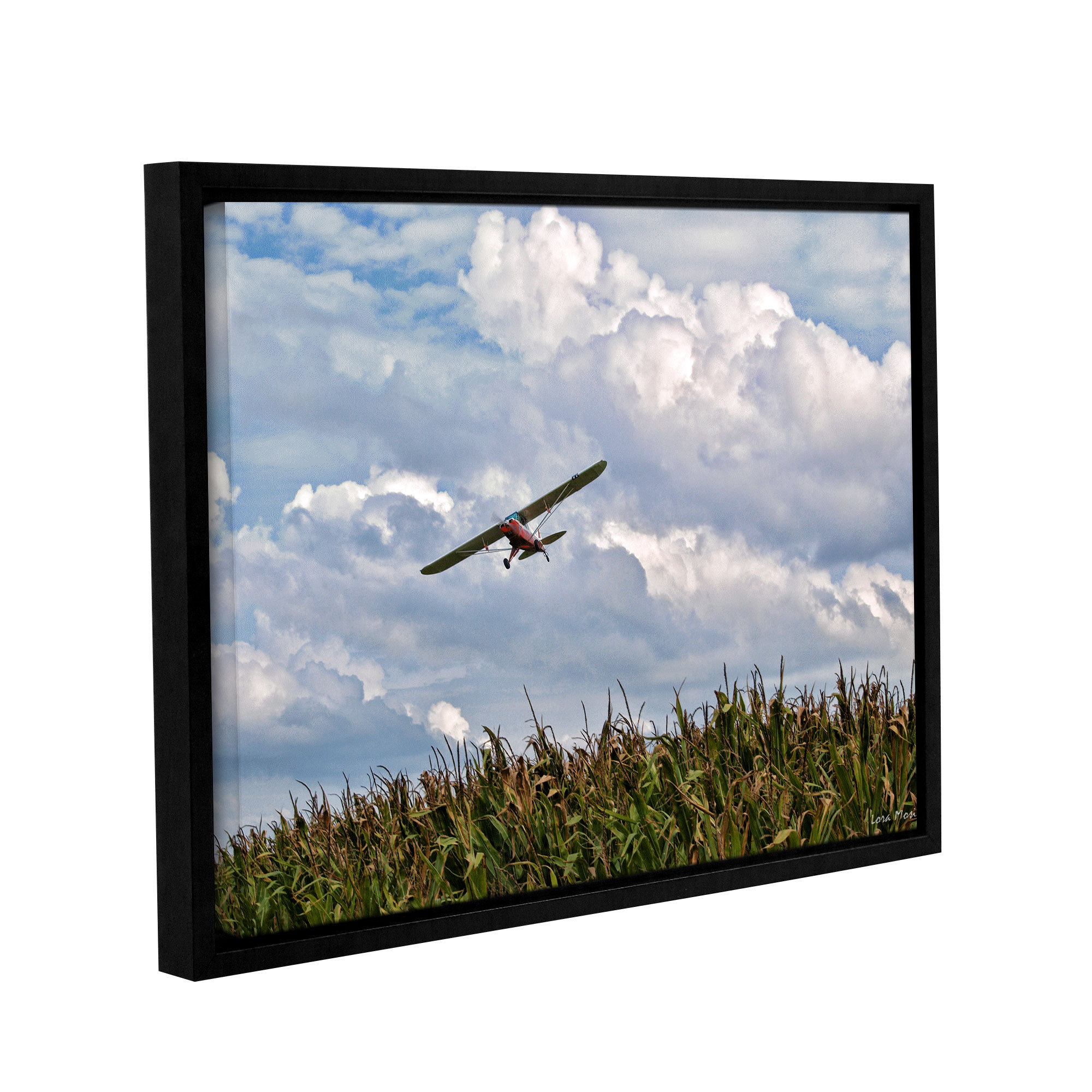 Alcott Hill 'A Corner of The Sky' Framed Photographic Print on Wrapped ...