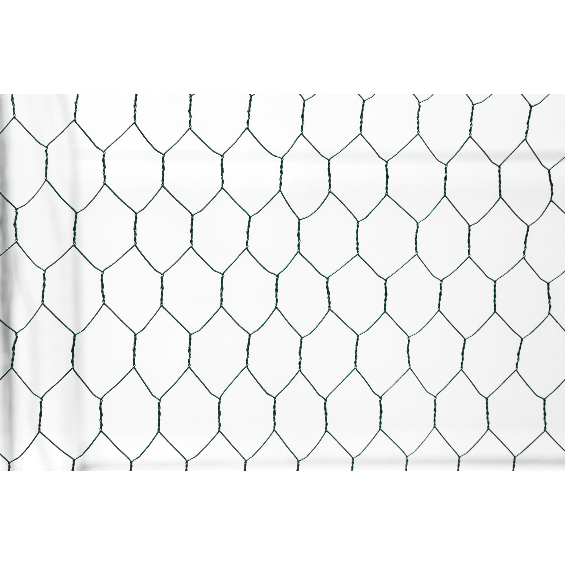 August Grove® Spacious Outdoor Chicken Run With Metal Tubes, 20*10*6Ft ...