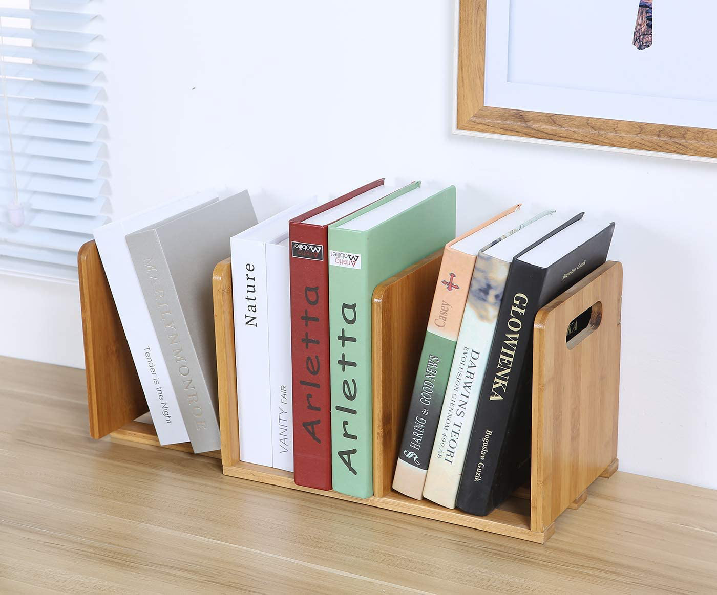 Ophelia & Co. Bamboo Extendable Desktop Bookshelf For Office And Home ...
