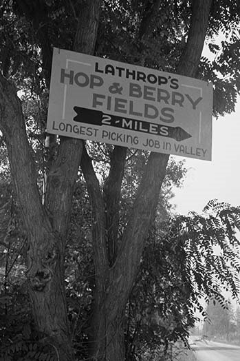 Buyenlarge 'Hop & Berry Fields' by Dorothea Lange - Unframed Photograph ...