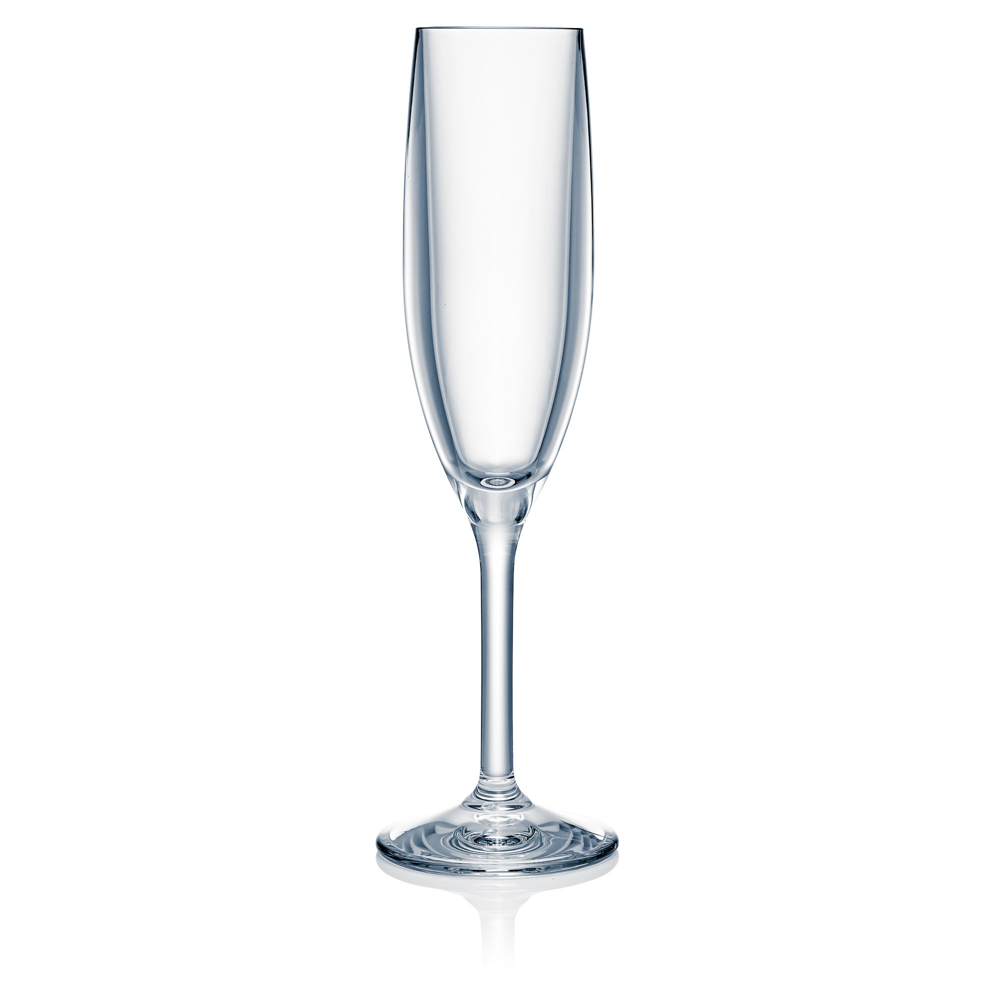 STRAHL Design+Contemporary Champagne Flute 5.5 Oz - Wayfair Canada