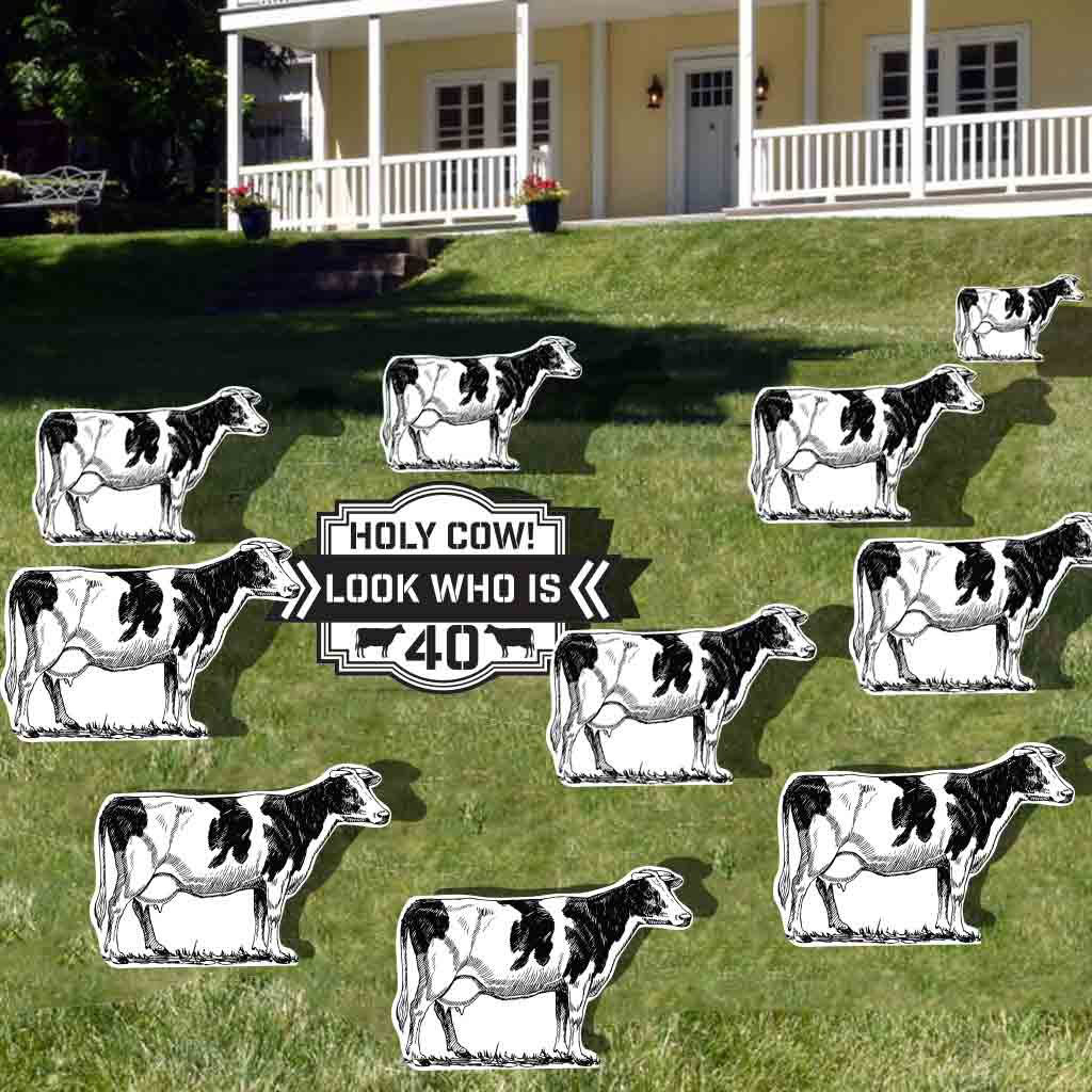 The Holiday Aisle® 11 Piece Holy Cow 40th Birthday Yard Decoration Sign ...