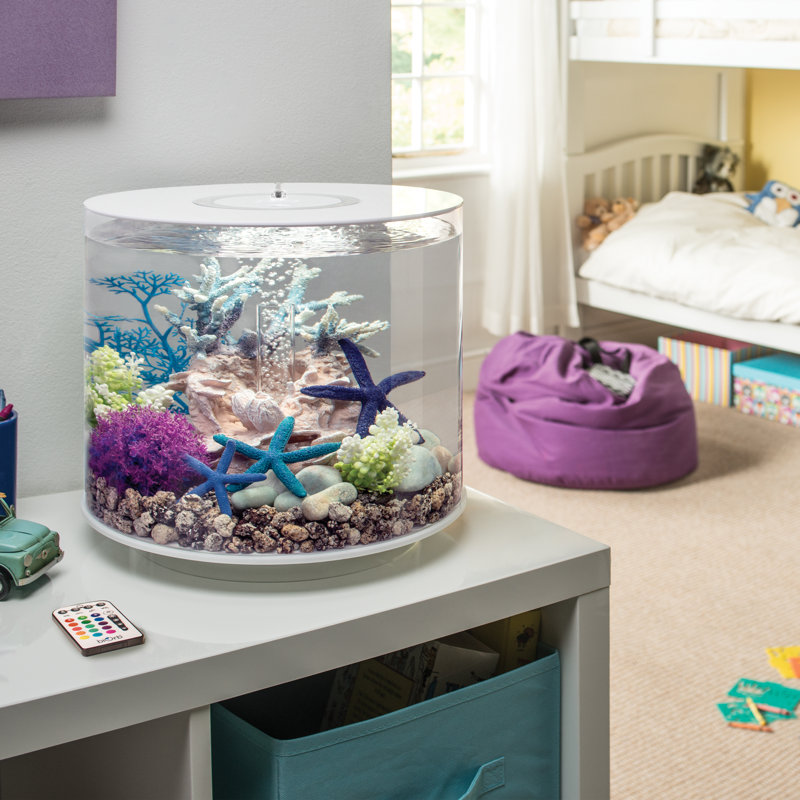 biOrb Tube 15 4 Gallon Column Aquarium Tank with MCR Light | Wayfair