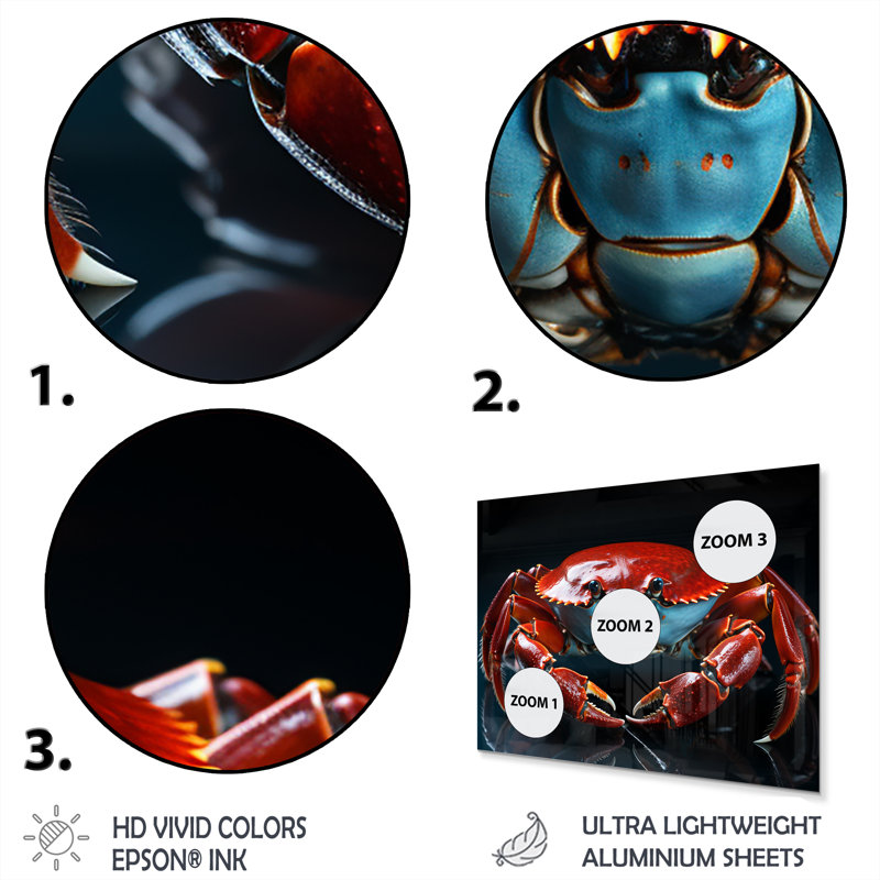 Dovecove Crab Portrait - Animals Metal Wall Decor Set | Wayfair