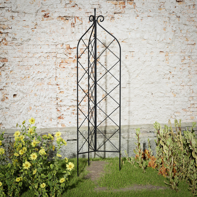 Winston Porter Roseville 18'' W Garden Metal Obelisk Trellis for ...