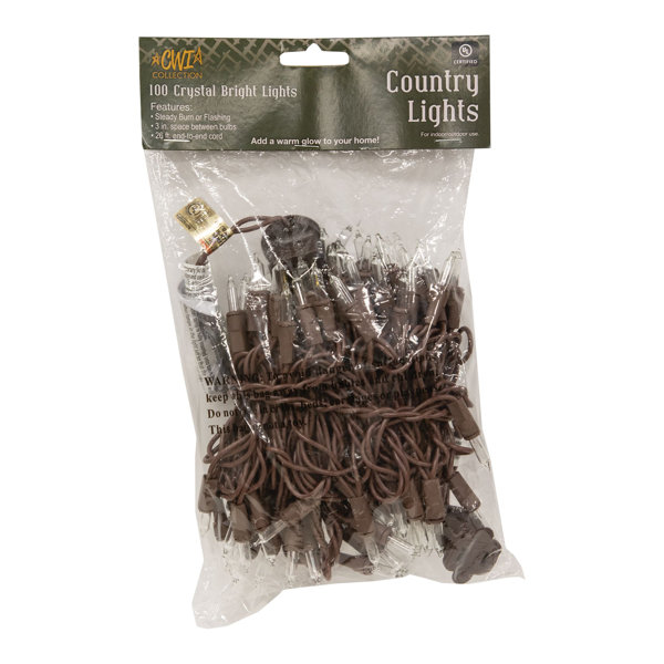 CWI Gifts 26' LED 100 - Bulb Mini String Light (End to End Connectable ...