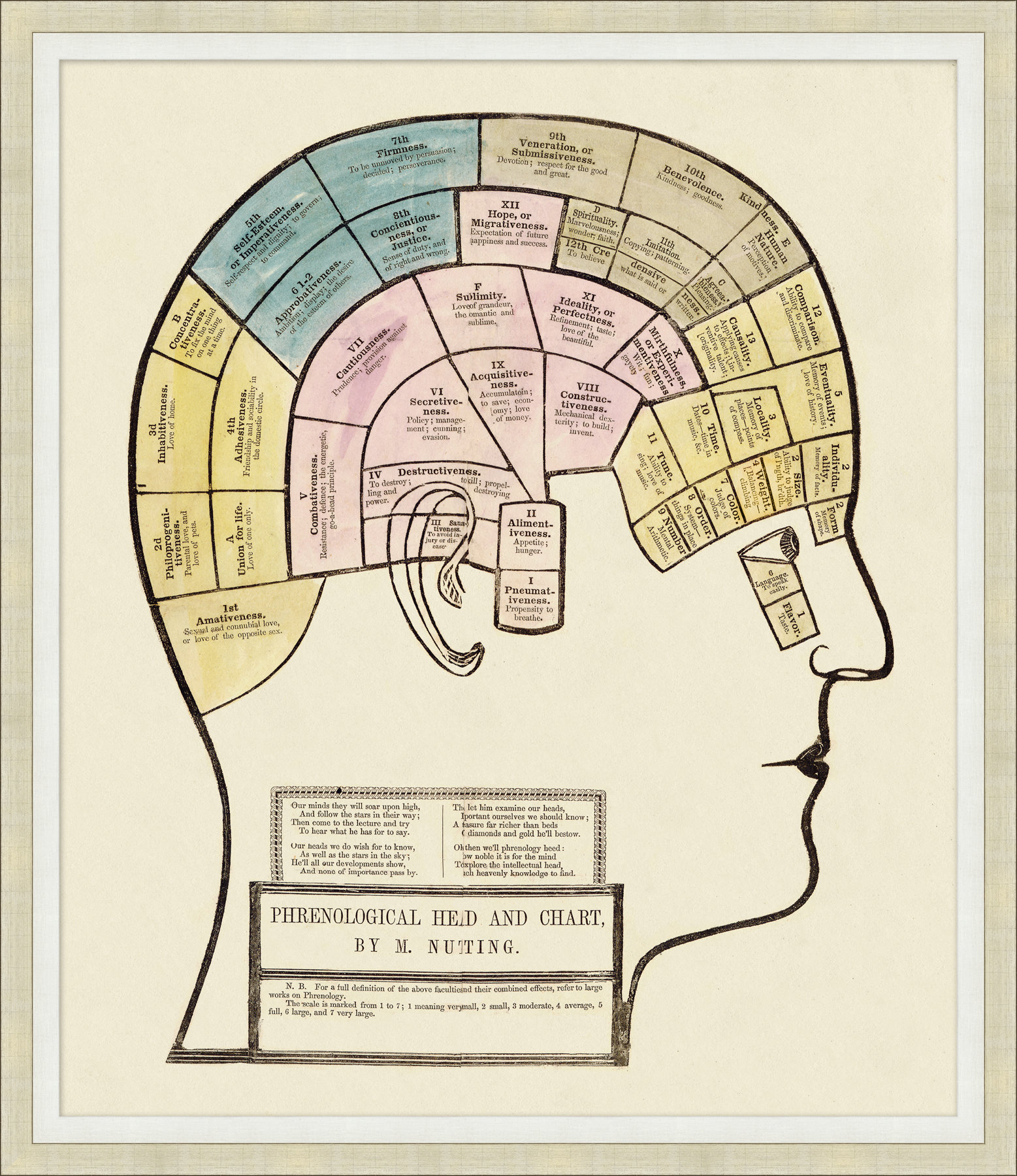 Wendover Art Group Brain Chart - Picture Frame Graphic Art | Perigold