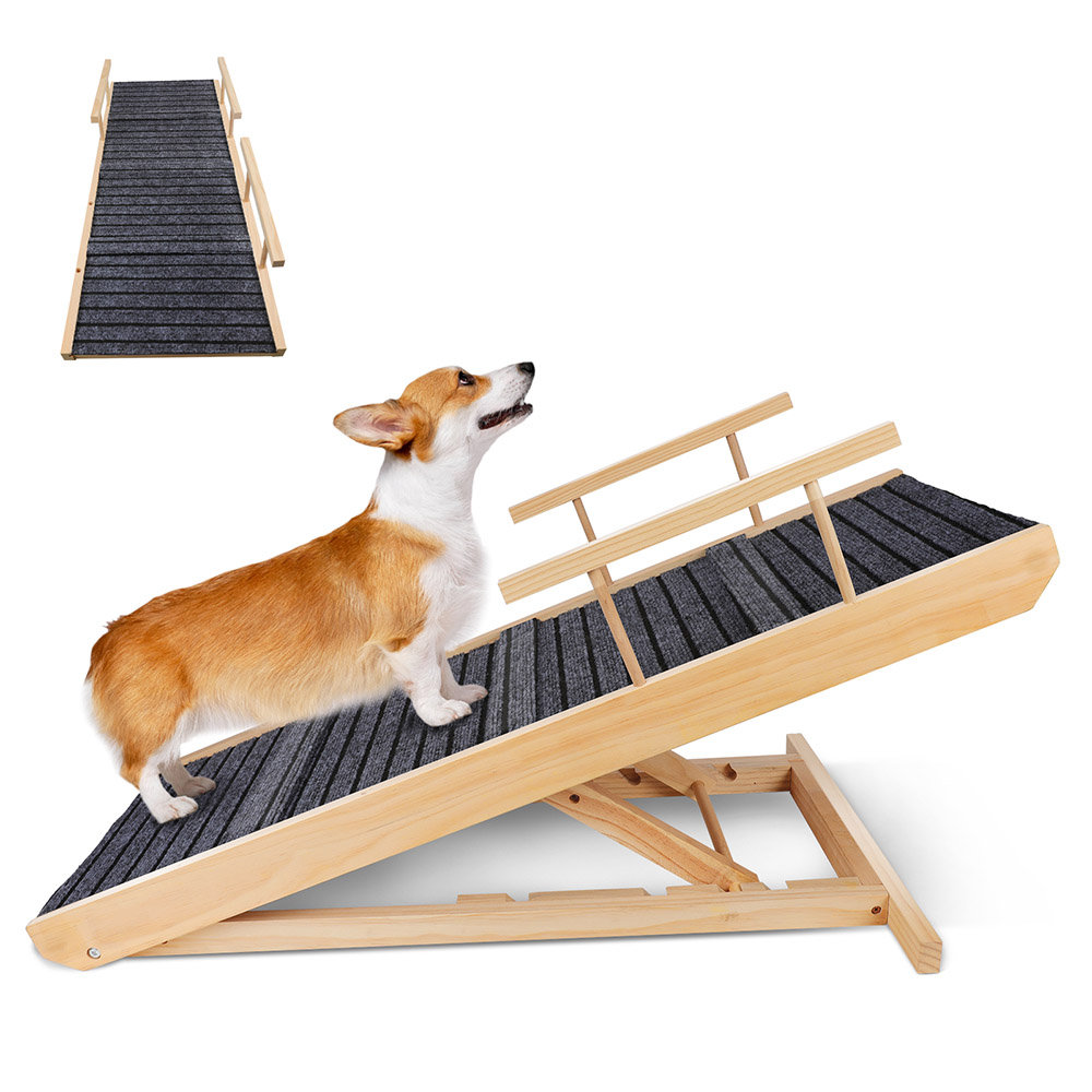 Tucker Murphy Pet™ Rampe pour animal 16 po Denazia - Wayfair Canada