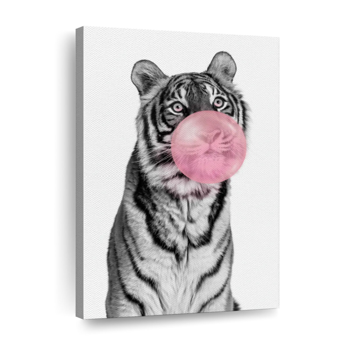 Trinx Tiger Bubble Gum On Canvas Print | Wayfair