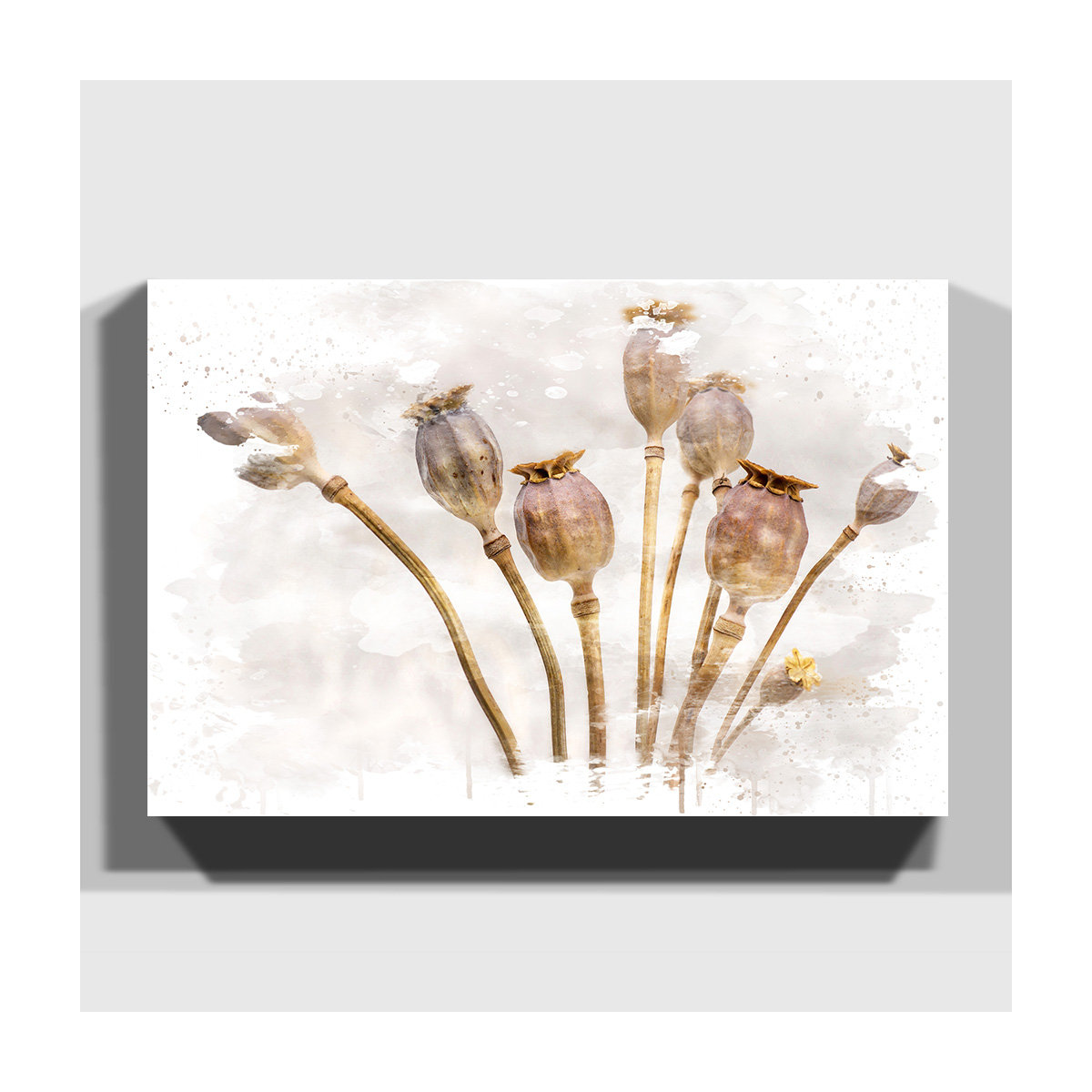 East Urban Home Flower Poppy - Wall Art | Wayfair.co.uk