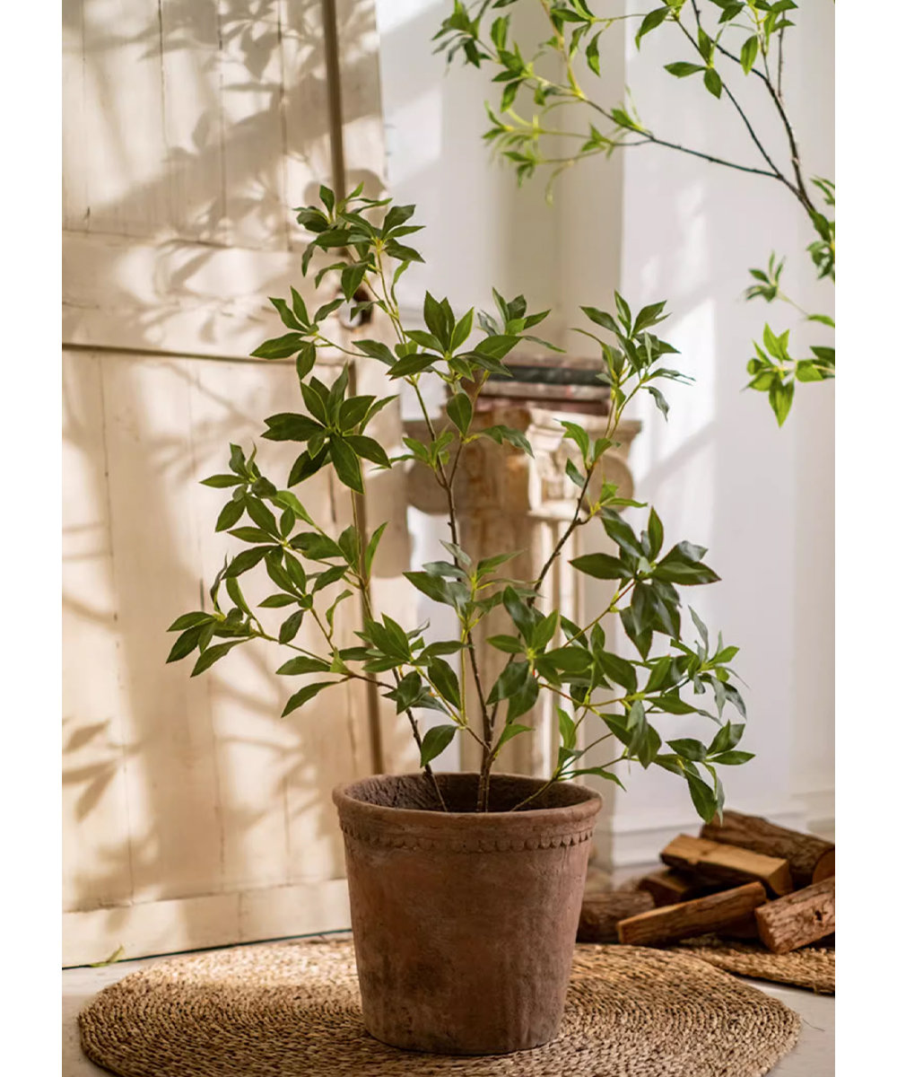 Feel High Pillows TM666156322076FHP&Size 37.4'' Bonsai Plant in Ceramic ...