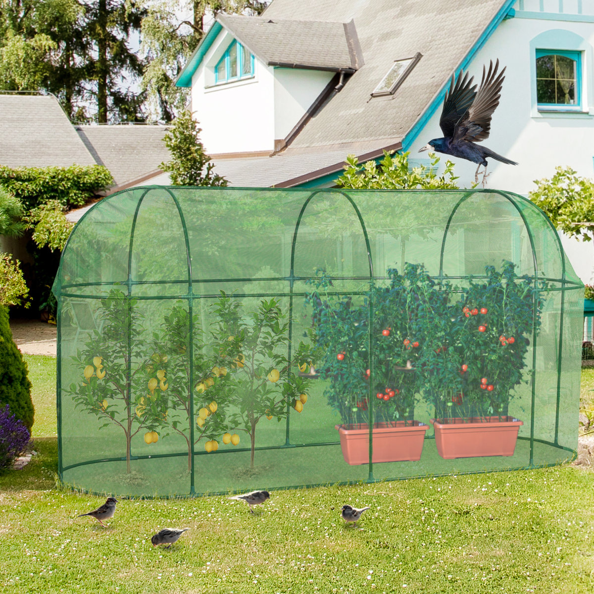 Aoodor Crop Cage 10' x 3.3' x 5' Plant Protection Tent, Fruit Cage ...