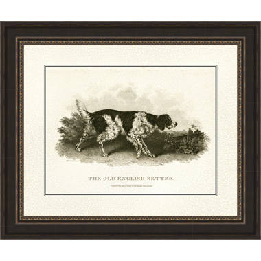 Red Barrel Studio® Antique English Setter Framed On Paper Graphic Art ...
