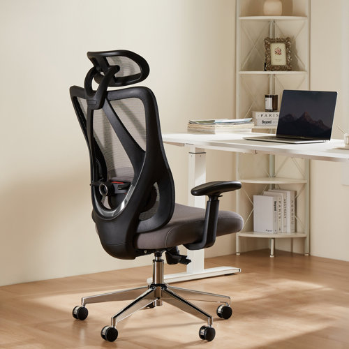 Inbox Zero Lajace High Back Mesh Ergonomic Office Task Chair with ...