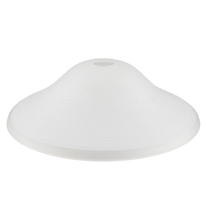 Latitude Run® 4.75'' H Glass Bowl Lamp Shade | Wayfair
