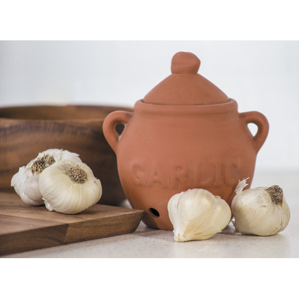 Rebrilliant Garlic Storage Jar & Reviews | Wayfair