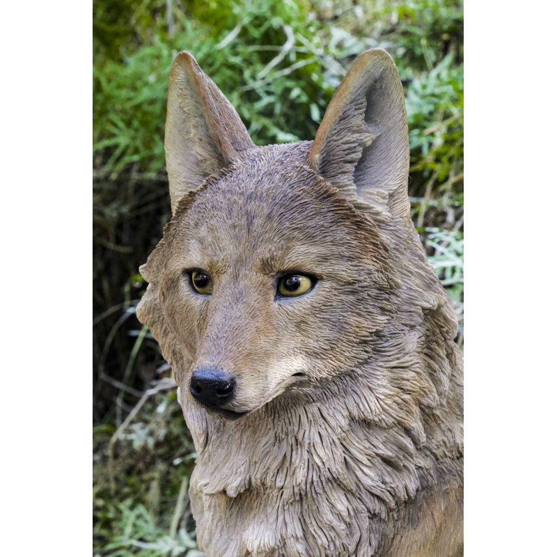 Hi-Line Gift Ltd. Sitting Coyate Statue & Reviews | Wayfair