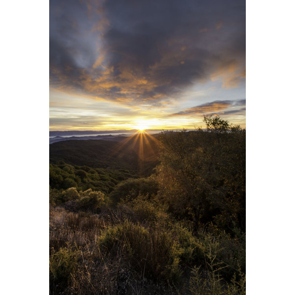 Millwood Pines Adelyse " Light Of The Morn " by Derek_Neumann | Wayfair