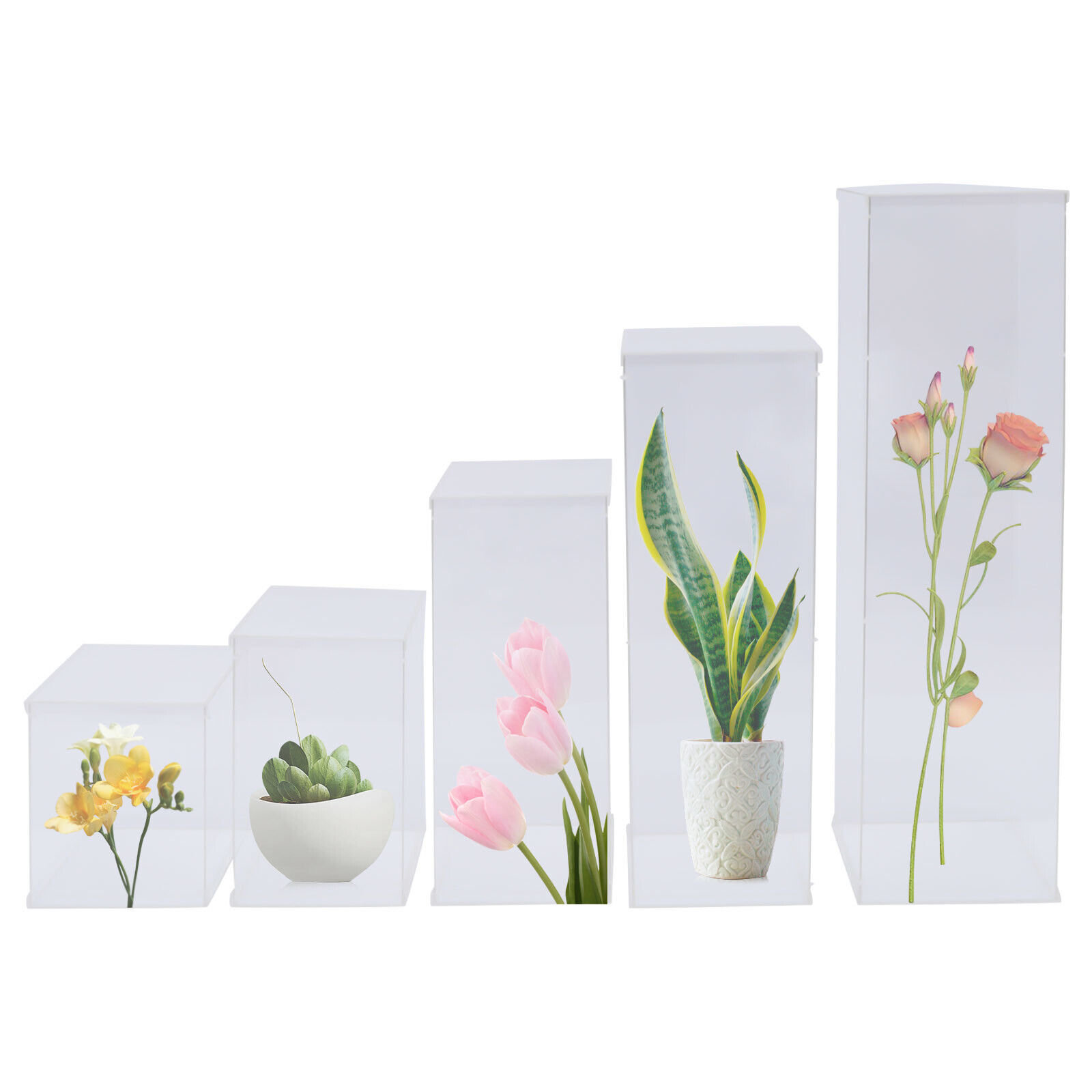 Arlmont & Co. Karile 5pcs Clear Acrylic Flower Riser Set Vase Display ...