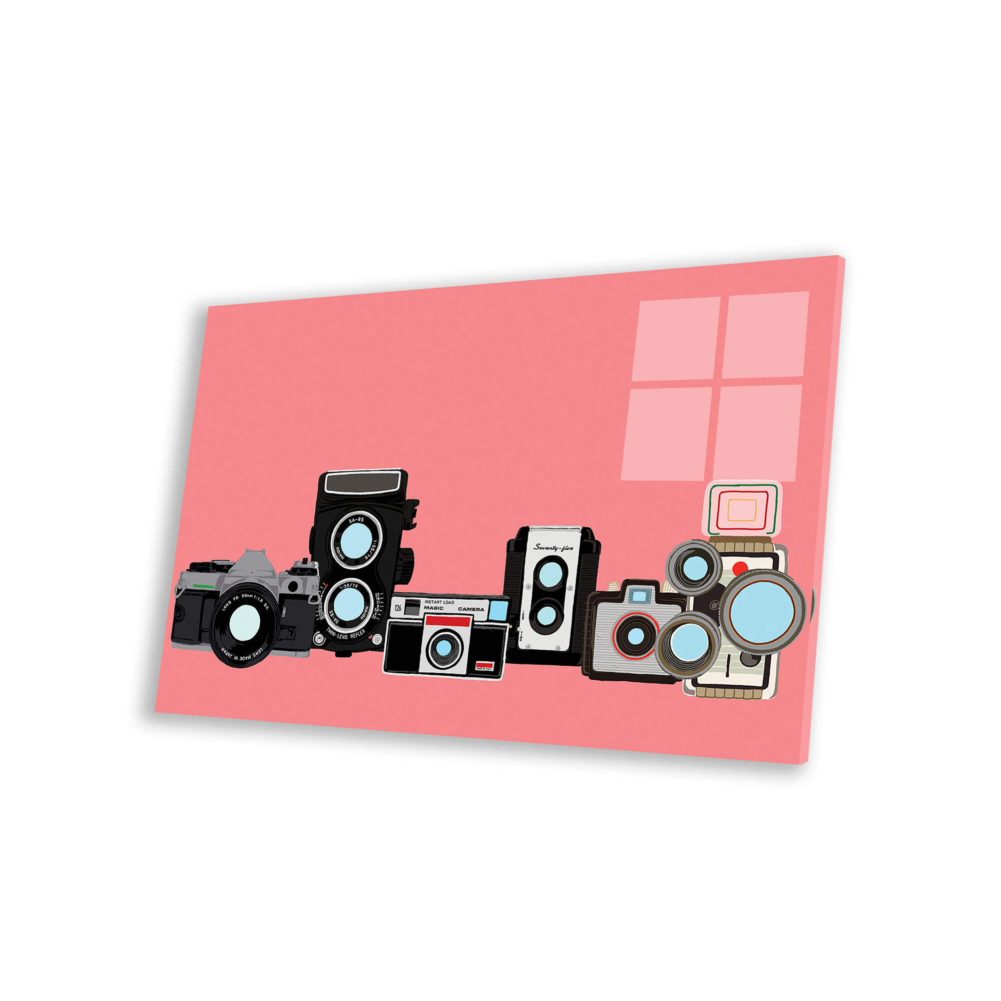 Ebern Designs Cameras Coral On Plastic / Acrylic by Jaymie Metz ...