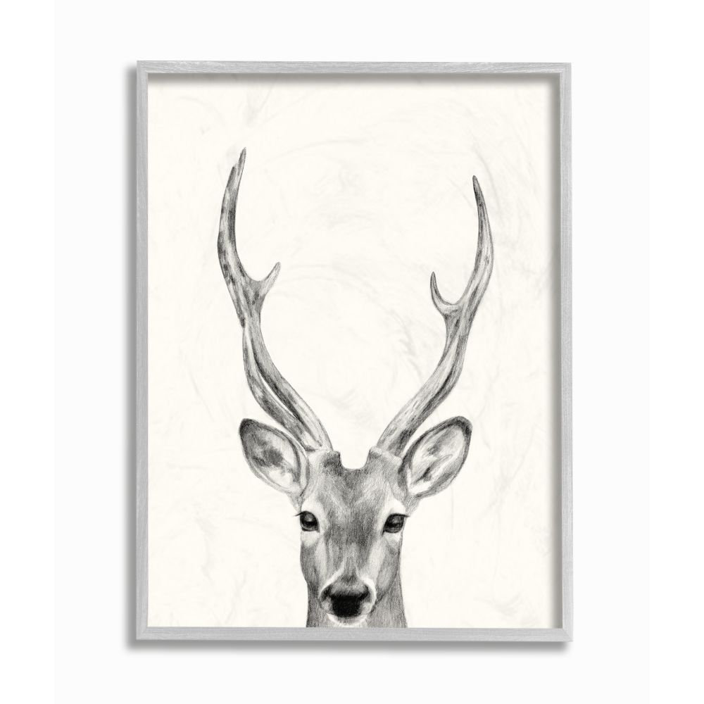 Millwood Pines 'Deer Portrait' by Victoria Borges - Drawing Print ...