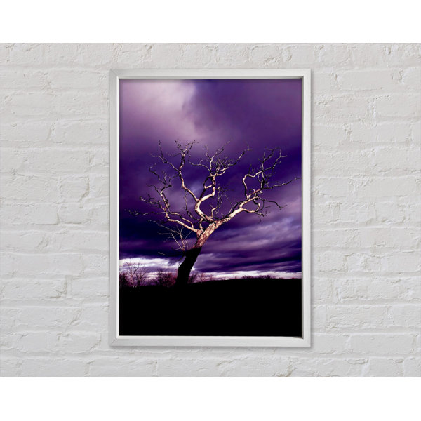 Bright Star Atemberaubender lila Nachtbaum - Einzelner Bilderrahmen ...