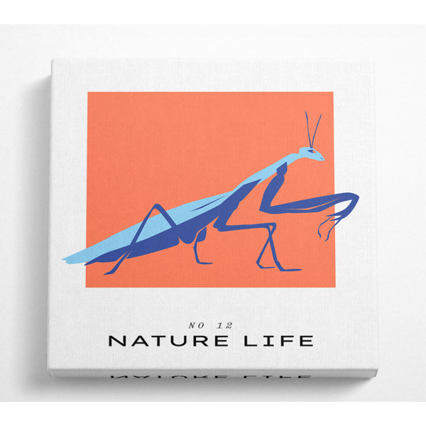 Brambly Cottage Praying Mantis Crawling - Wrapped Canvas Print ...