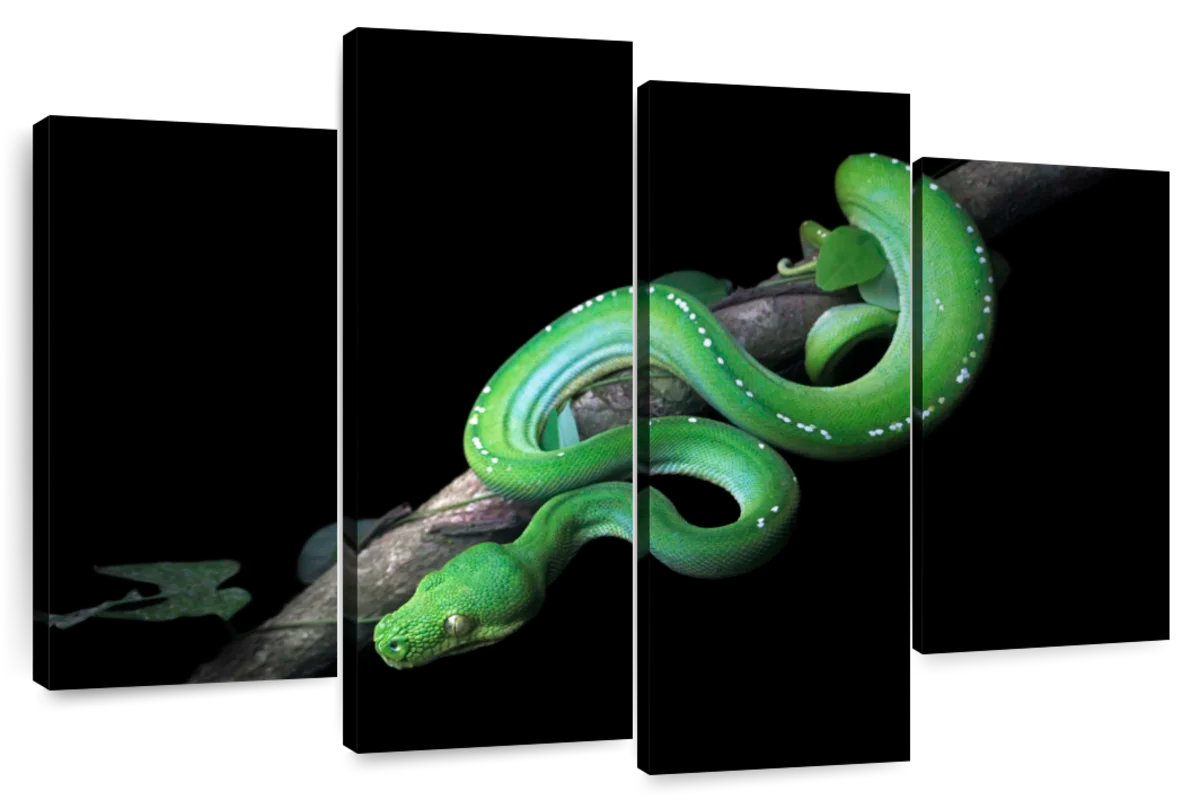 Ebern Designs Brampt Green Python Slithering On A Branch | Wayfair