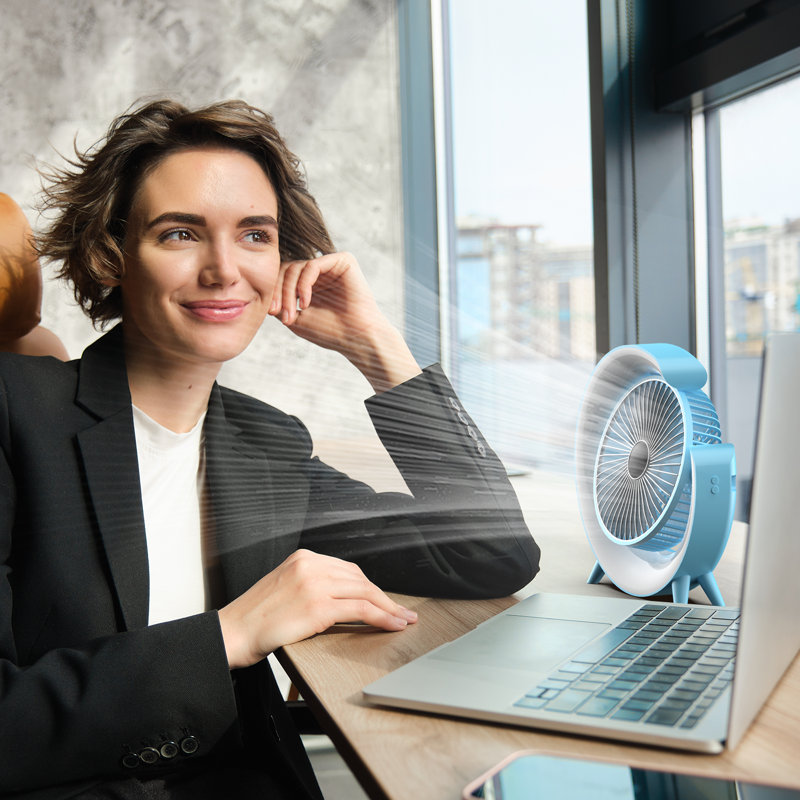 Biyori RGB Desk Fans USB 3 Adjustable Speeds 2800mAh 270° Angle ...