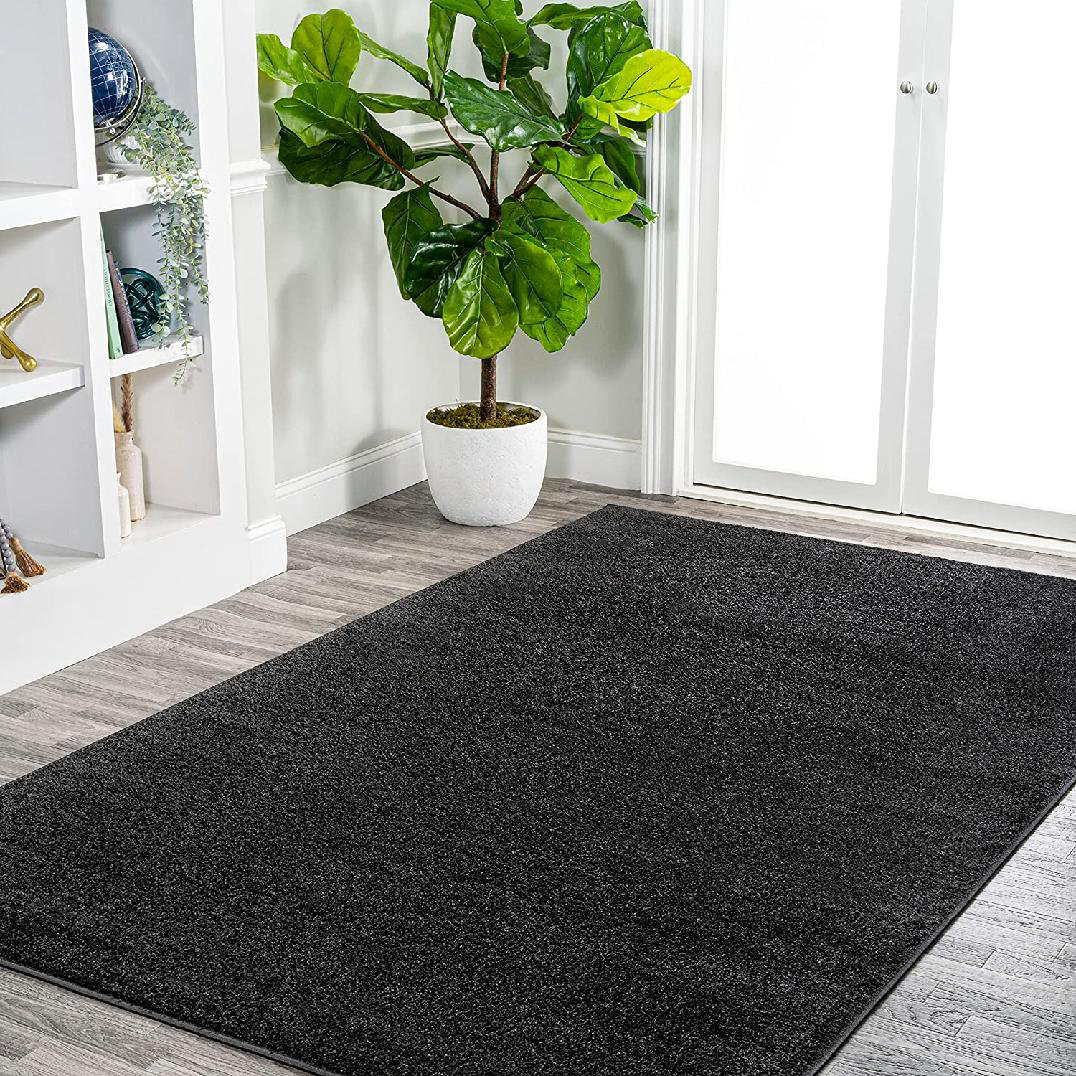 Latitude Run® Solid Color Machine Braided Rectangle 9' x 12 ...